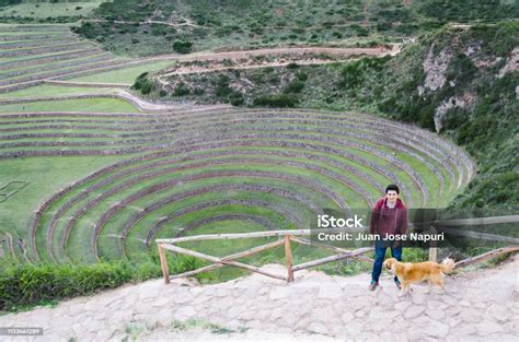 성스러운 계곡에 있는 농업 테라스 쿠스코의 Moray 배경과 관광 신성한 계곡 페루 건축에 대한 스톡 사진 및 기타 이미지