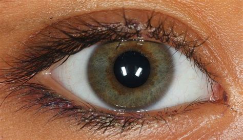Eye Pattern Analysis Discover Your Color Season Eye Pattern Color Analysis Seasonal Color
