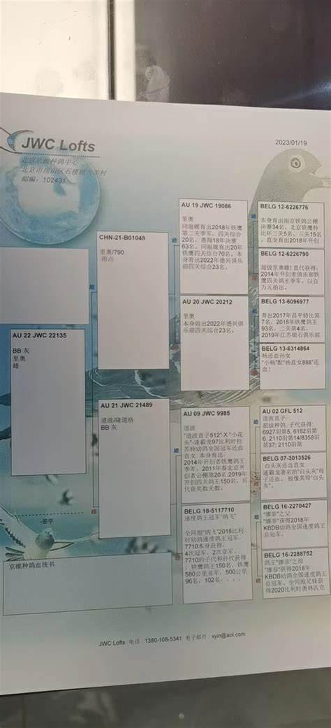 北京京维种鸽养殖中心 中信网铭鸽展厅