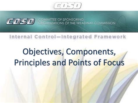 Internal Audit Coso Framework