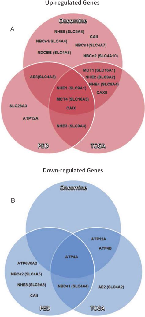 Summary Of Data Mining Based On Three Databases The Cancer Genome