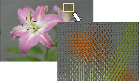 High Resolution 3d Light Field Display