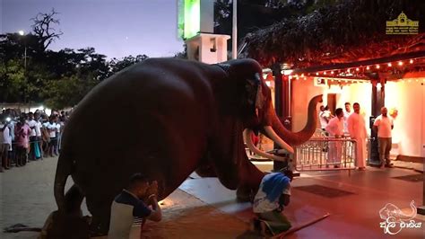 දෙවියන් වදින වාසනා Wasana Kataragama Youtube