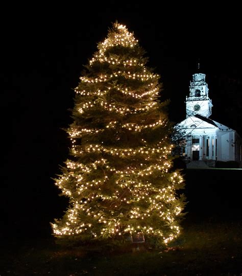 Bedford Town Memorial Tree Bedford Nh Garden Club