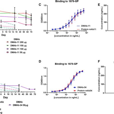 Characterization Of Dmab 11 And Dmab 34 A Comparison Of Dmab 11