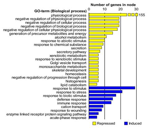 Overrepresented Go Terms Biological Process Only Among The 713 Genes Download High