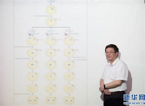 我会副理事长、中国科学院水生生物研究所桂建芳院士团队培育出高产异育银鲫新品种“中科5号” 中国动物学会
