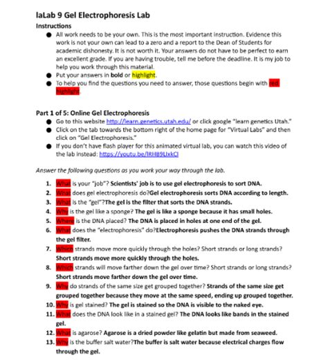 Solved Lab 9 Biol 1110 Gel Electrophoresis Virtual Version Course Hero