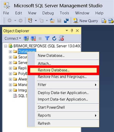 Brimor Labs How To Load A Sql Bak File For Analysis Without Sql Server Previously Installed