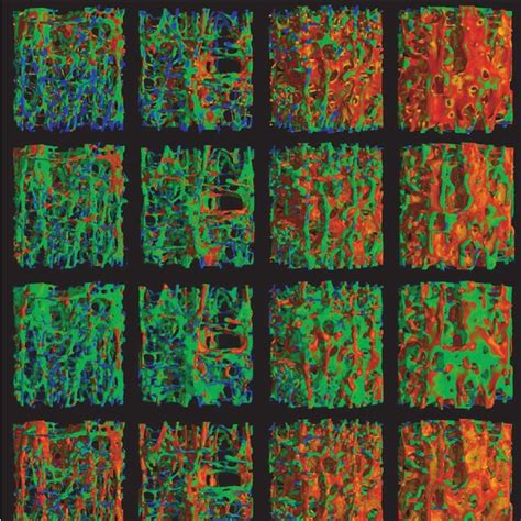 colour coded visualization of the isotropic and anisotropic scaling