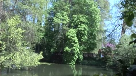 Le Regazze Del Giardino Pubblico Streaming Video On Demand Adult Empire