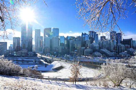 Express Entry What Are Your Options If Your Pgwp Is Expiring Cic News