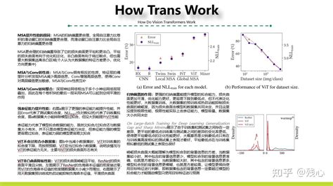 How Do Vision Transformers Work Ppt Sum 知乎