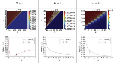 Dynamics Of The Spinspin Correlation Function In The Local Regime