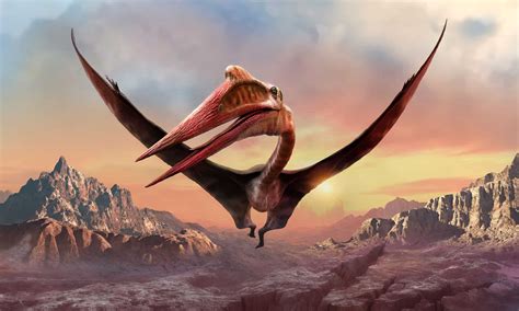 Quetzalcoatlus Size Comparison A Flying Reptile Whose