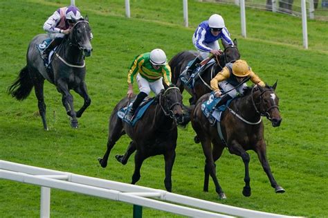Wathnan Racing Snap Up Eyecatching Debut Winner With Royal Ascot Aim