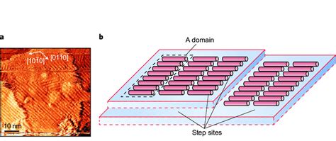 Periodic Molecular Patterns On A Cobalt Catalyst A Stm Image Of The