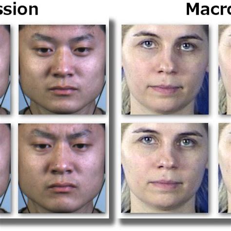 Difference Of Motion Intensity Between Micro And Macro Expression