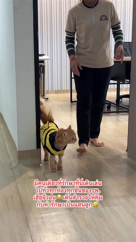 นักสำรวจเดินไปทุกชั้นทุกห้องของรพก็เขานี่แหละเฮียจีวอน😂 พระวิรเชษฐ์ เข็มรัตน์ เทวดาน้อยจีวอน