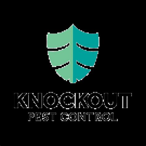 Silverfish Control Service Burnaby Knockout Pest Control