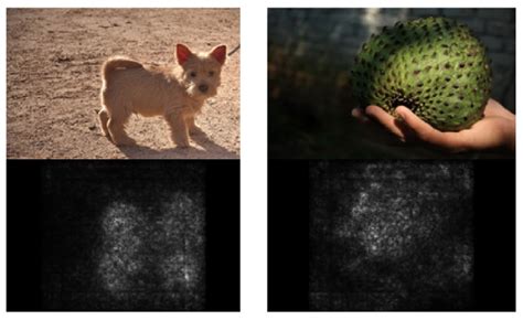 Iclr 2014 Workshop Deep Inside Convolutional Networks Visualizing Image Classification Models