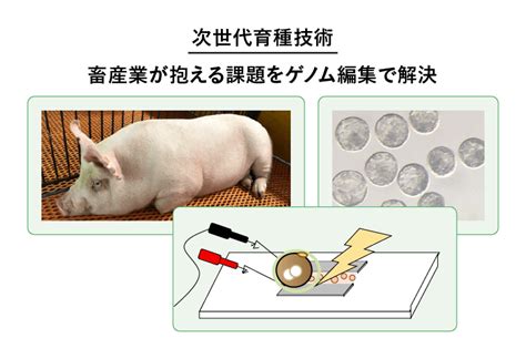 Research 食と先端技術共創コンソーシアム
