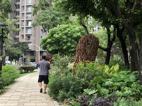 中市北區興進園道花之道完工開放 打造大型廊帶花園城市！ 觀傳媒