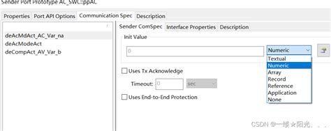 Autosar DaVinci Developer的一些简单配置 autosar runable配置 CSDN博客