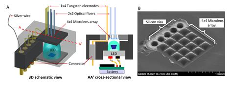 Optrode Array For Simultaneous Optogenetic Modulation And Electrical Neural Recording