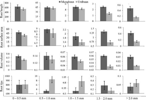 Comparison Of Root Architectural Traits In Diameter Intervals In