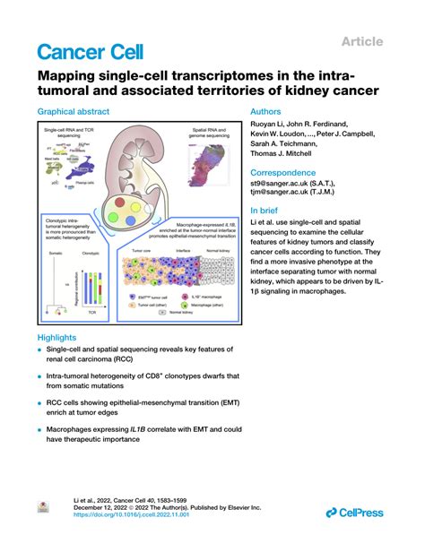 Pdf Mapping Single Cell Transcriptomes In The Intra Tumoral And