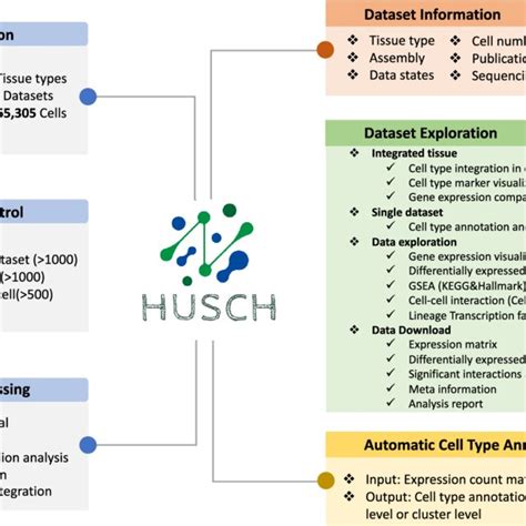 Statistics Of Husch Datasets Husch Includes 185 High Quality Download Scientific Diagram