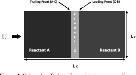 Figure 1 From Reversible Reactive Flow Displacements In Homogeneous