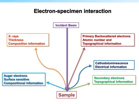 Cryo Electron Microscopy Pptx