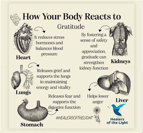 Pin By Cassandra Whiley On Beauty 2024 In 2024 Health And Wellbeing
