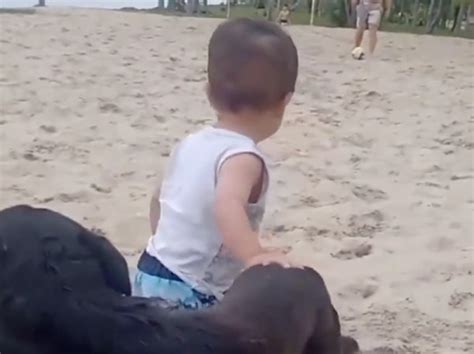 Minik Bebek İlk Adımlarını Attı Köpek Dostu Onu Yalnız Bırakmadı Onedio