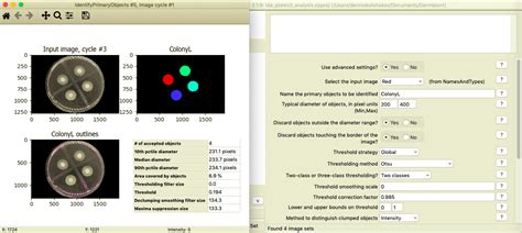 Identifyprimaryobjects Finds Objects That Are Too Large Usage And Issues Imagesc Forum