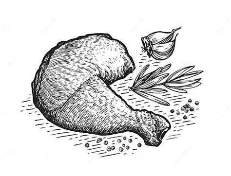 炸烤鸡大腿 烹饪肉草图矢量图 向量例证 插画 包括有 烹调 家禽 油煎 格栅 烹调法 食物 242166345