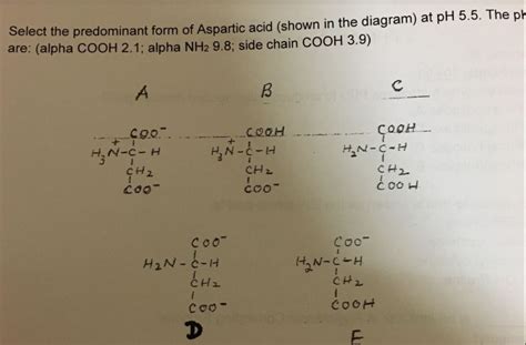 Solved Select The Predominant Form Of Aspartic Acid Shown