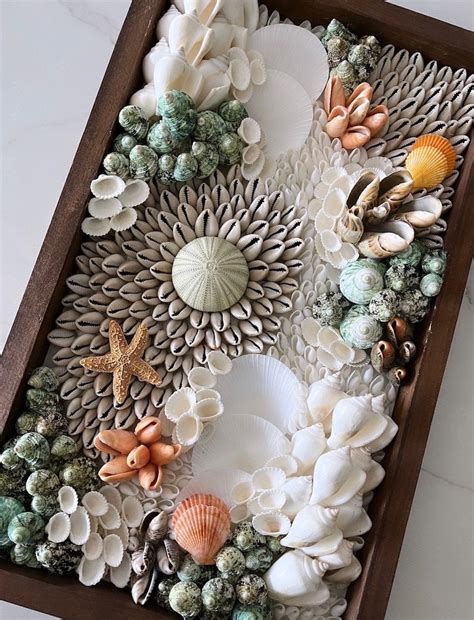 Framed Seashell Wall Mosaic Natural Sea Shells Coastal Nautical Wall