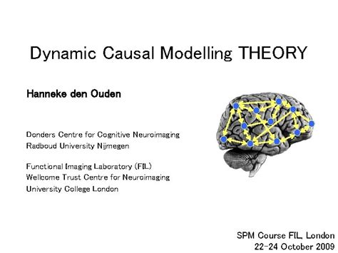 Dynamic Causal Modelling Theory Hanneke Den Ouden Donders