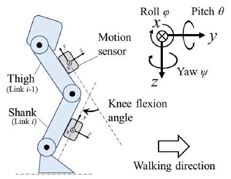 Definitions Of The Knee Joint Angle And The Reference Coordinate System