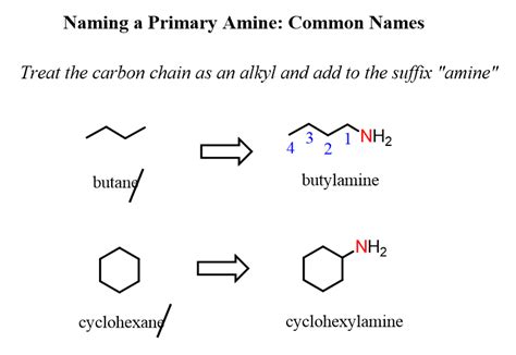 Naming A Primary Amine Common Names Nomenclature Chemistry Chemistry