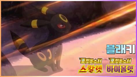 블래키 실종 사건 이로치 블래키 Youtube