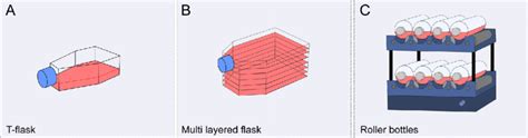 Overview Of Monolayer Cultures Used For Hmscs Expansion A T Flask B