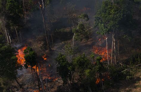 Em 2019 área queimada na Amazônia no Cerrado e no Pantanal soma 113