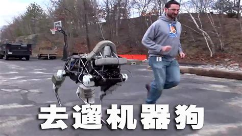 走！去遛机器狗！ Youtube