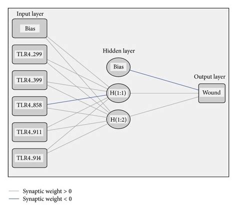 The Architecture Of The Multilayered Feedforward Artificial Neural