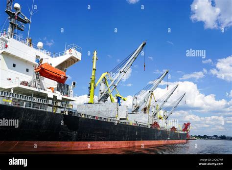 Large Bulk Carrier With Open Holds In Harbor Cargo Terminal Shore Cranes Blue Sky Background