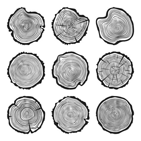 Premium Vector Round Tree Trunk Cuts With Cracks Sawn Pine Or Oak